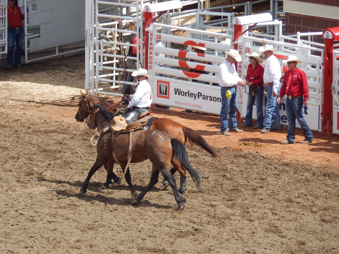 The Calgary Stampede – a Tradition of Prestige | chasingrodeohistory