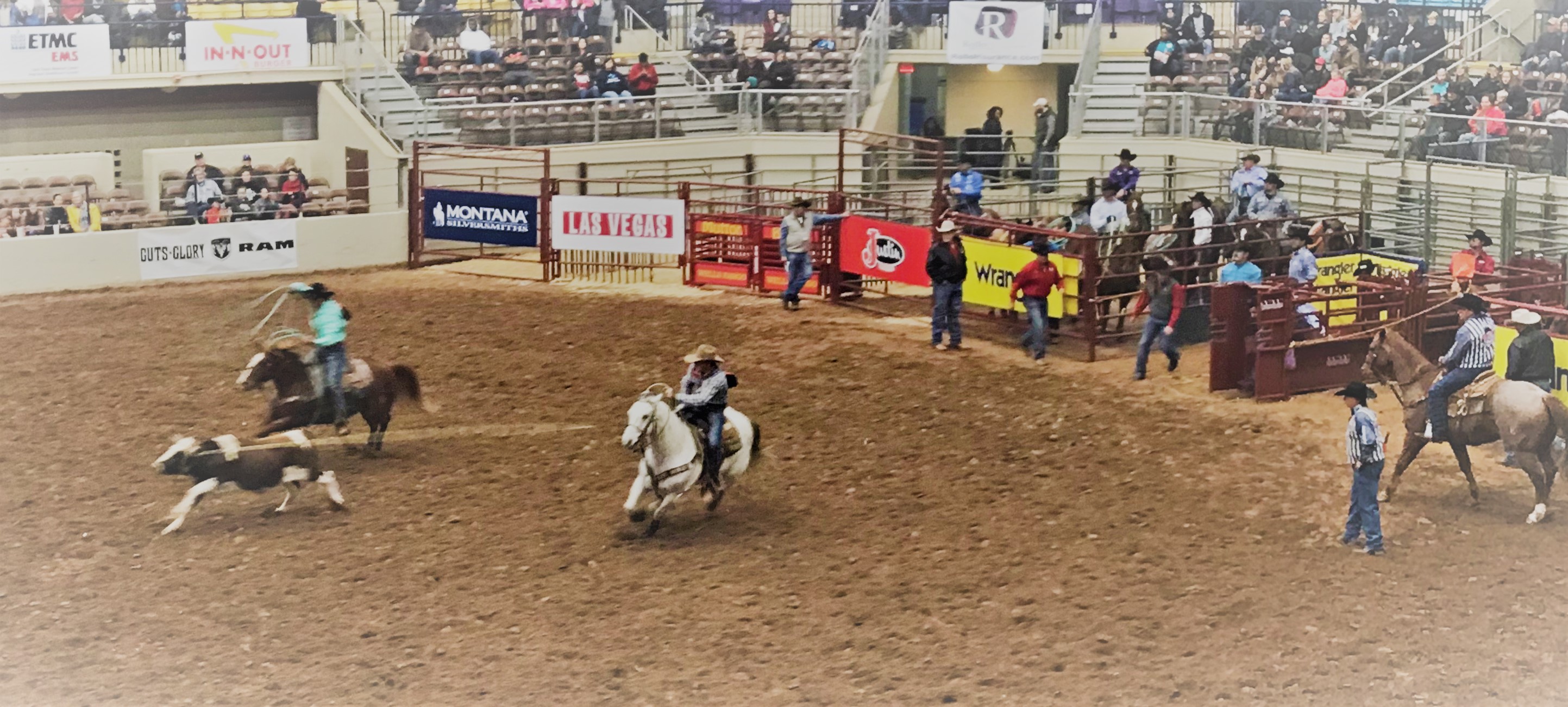 Photo Gallery | chasingrodeohistory