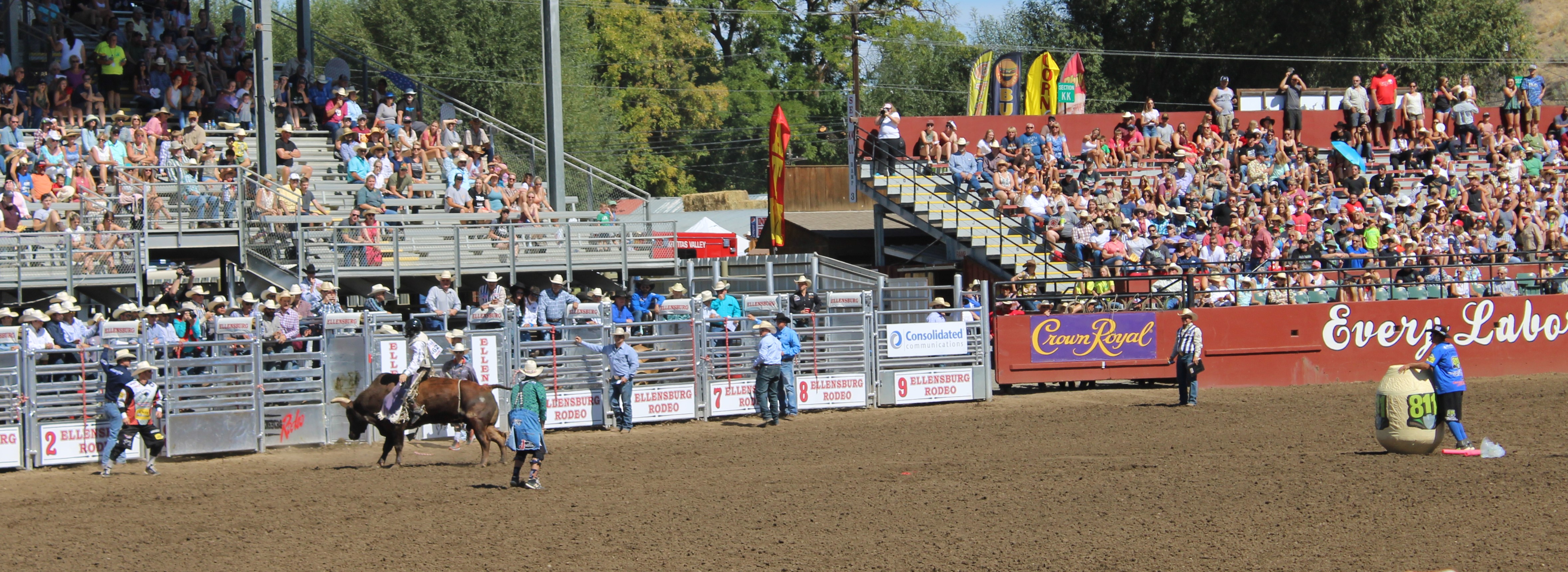 Photo Gallery | chasingrodeohistory