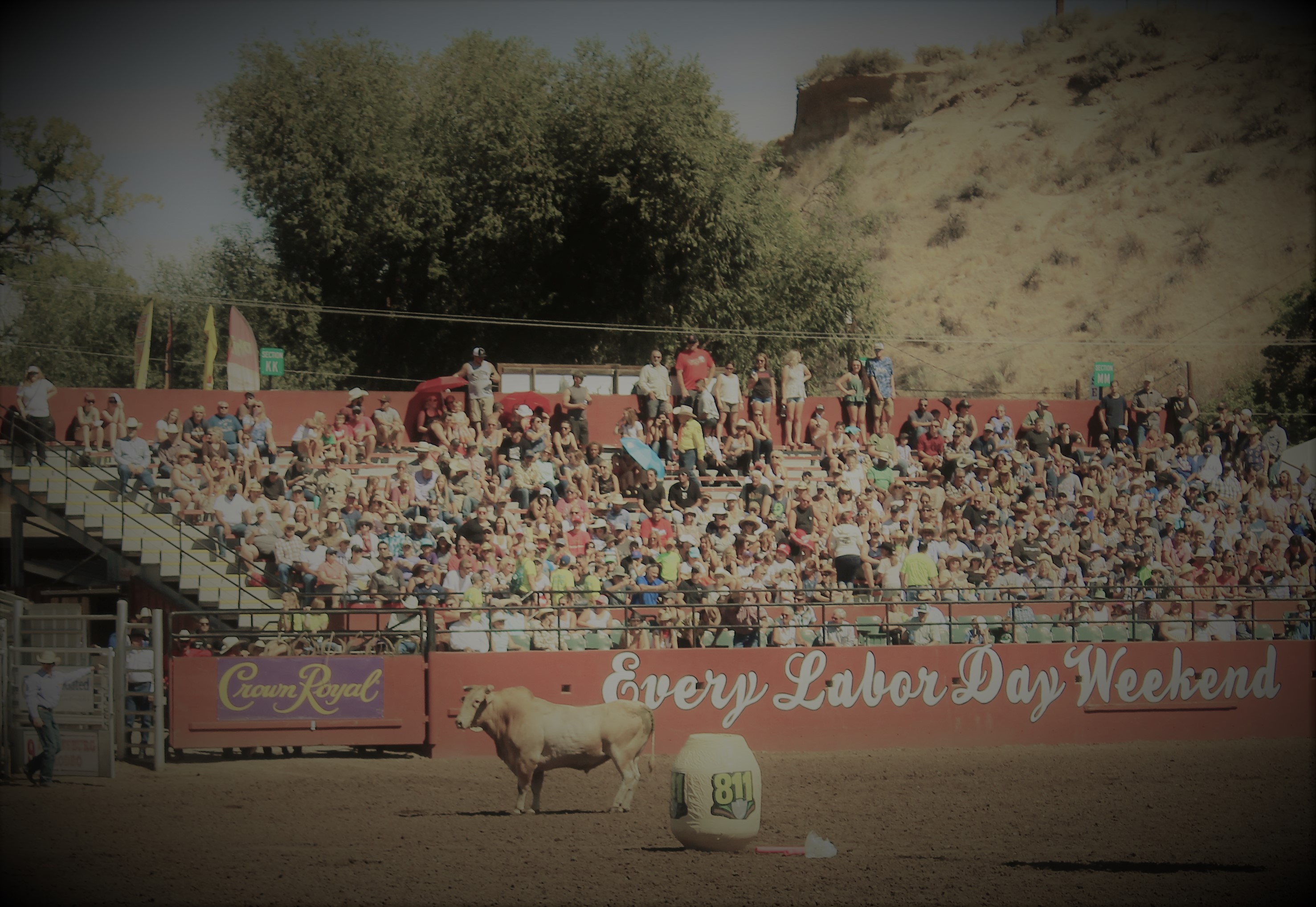 Photo Gallery | chasingrodeohistory