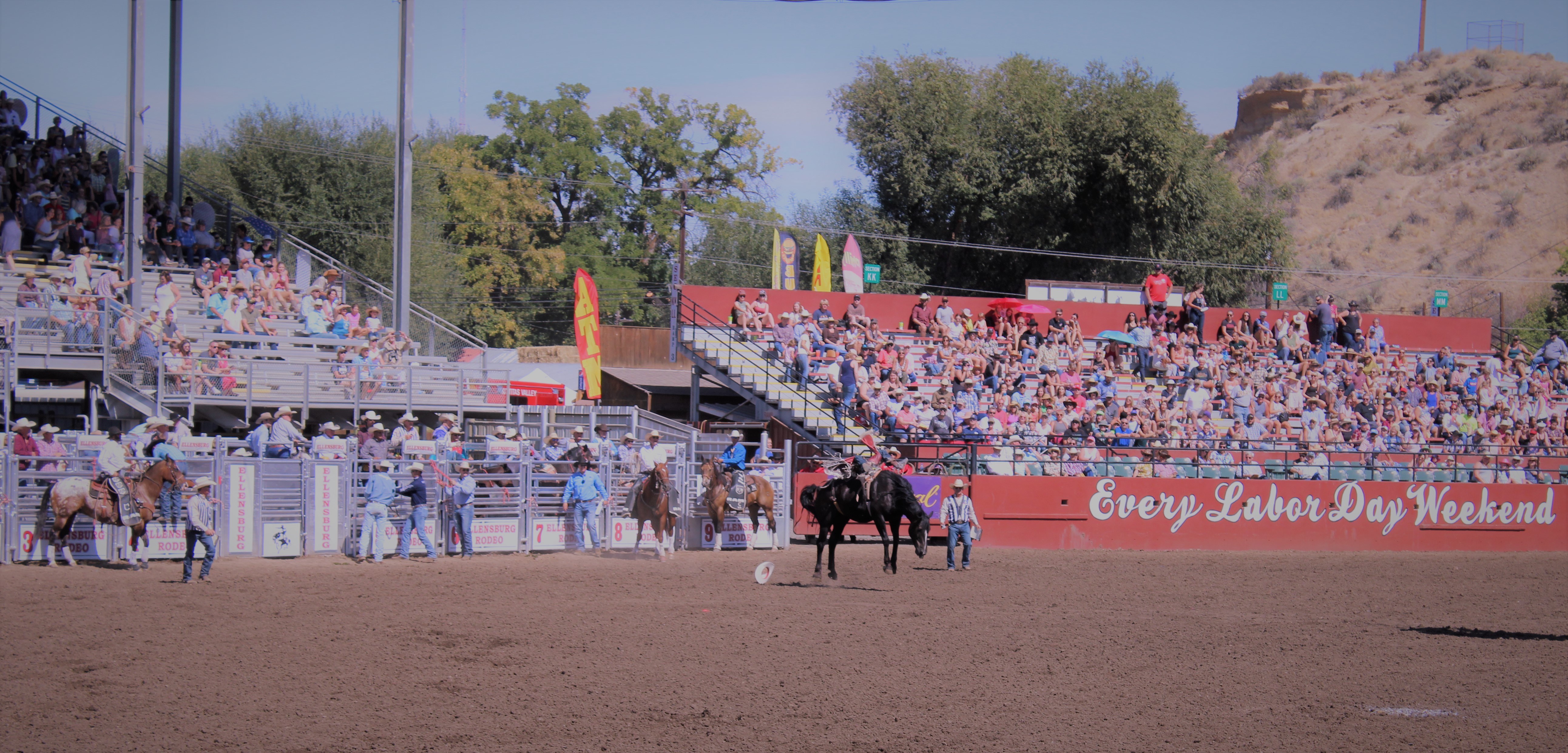 Photo Gallery | chasingrodeohistory