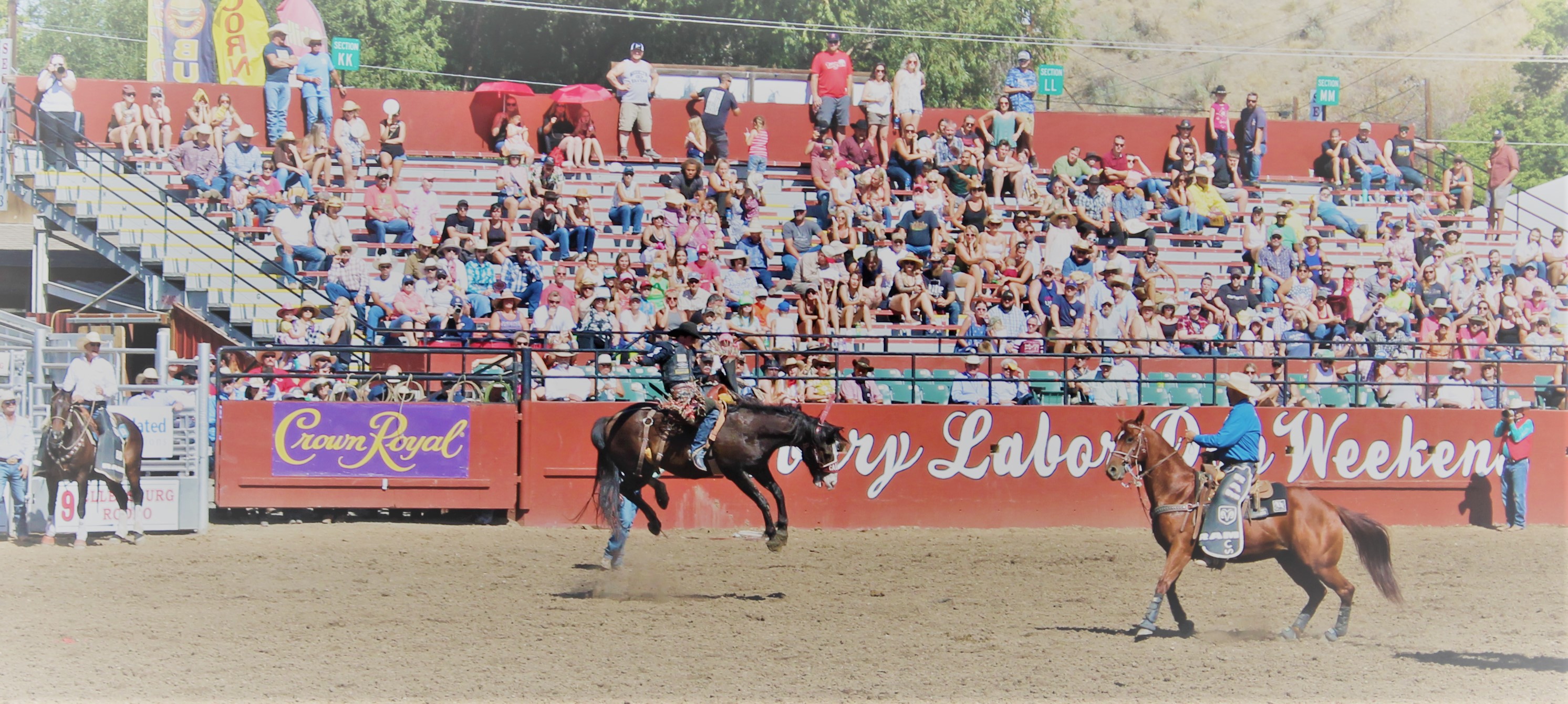 Photo Gallery | chasingrodeohistory